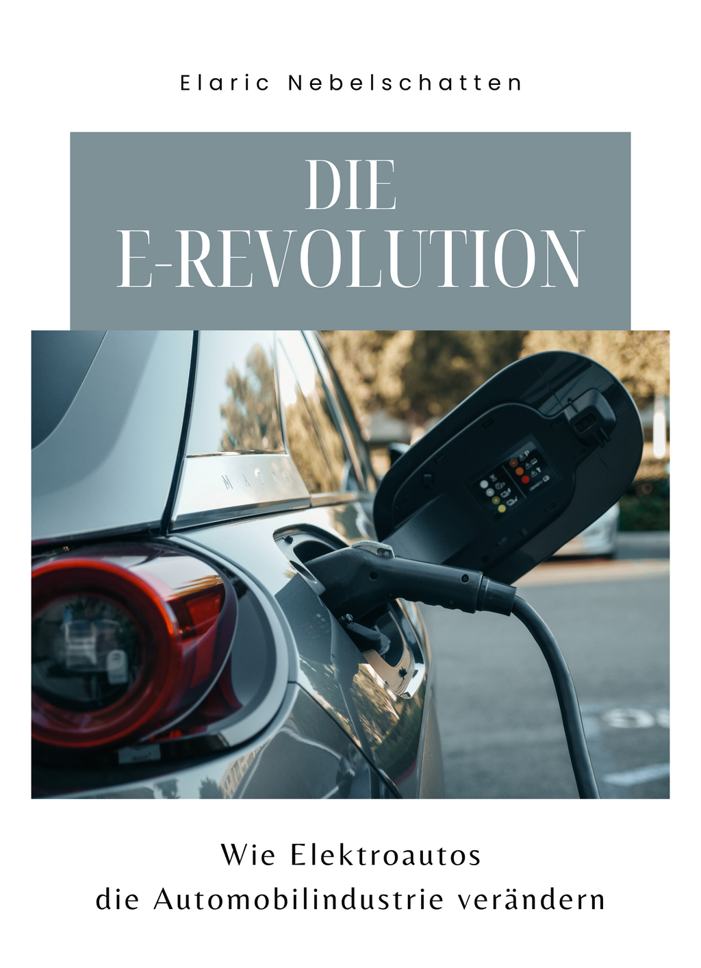 Die E-Revolution – Efory Books